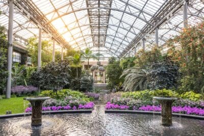THE 2026 PHILADELPHIA FLOWER SHOW: MARCH 1-2, 2026 - Wade Tours Bus Tours