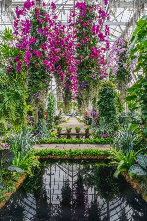 NEW YORK BOTANICAL GARDEN ORCHID SHOW: APRIL 18, 2026 - Wade Tours Bus ...